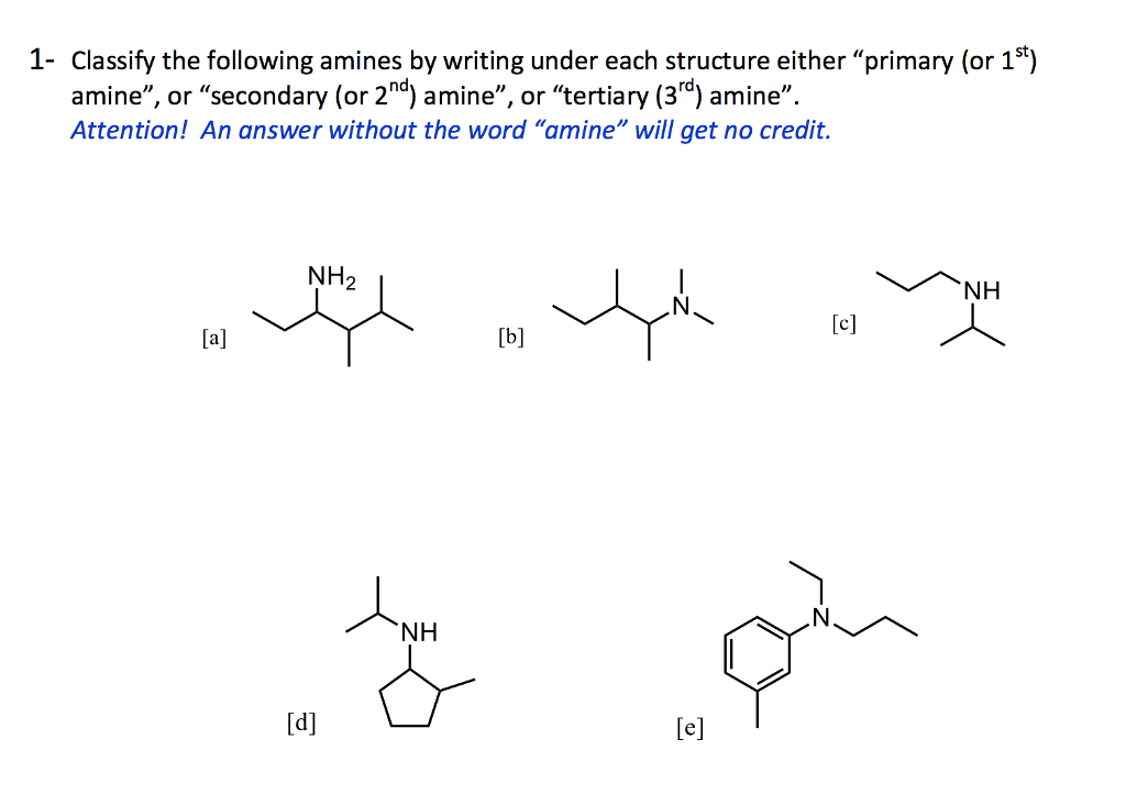 Solved 3- Circle (or highlight) and label every functional | Chegg.com