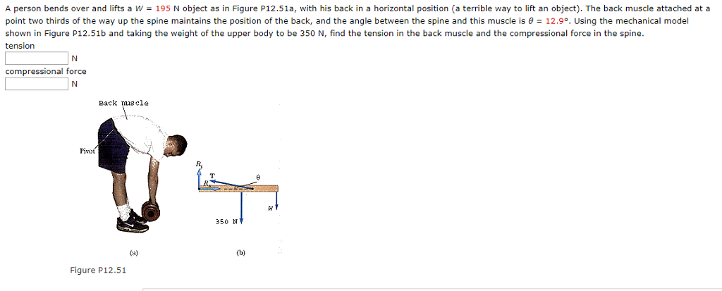 Solved A person bends over and lifts a W 195 N object as in | Chegg.com