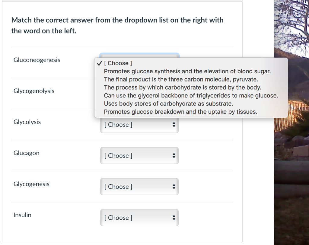 Solved Match the correct answer from the dropdown list on | Chegg.com