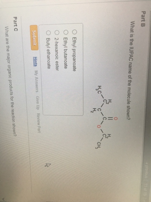 Solved What is the iupac name of the molecule?/Which | Chegg.com