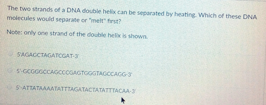 Solved The two strands of a DNA double helix can be | Chegg.com