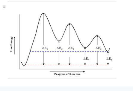 Solved The overall reaction below is exergonic, and the | Chegg.com