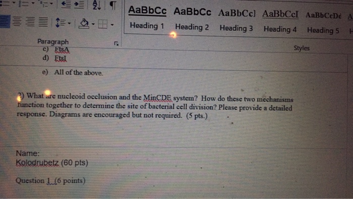 Solved What are nucleoid occlusion and the MinCDE system? | Chegg.com