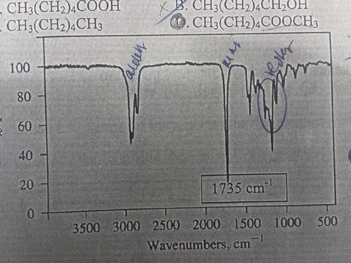 Solved Which of the following compounds may give the IR | Chegg.com