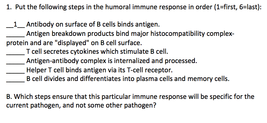 Solved 1. Put the following steps in the humoral immune | Chegg.com