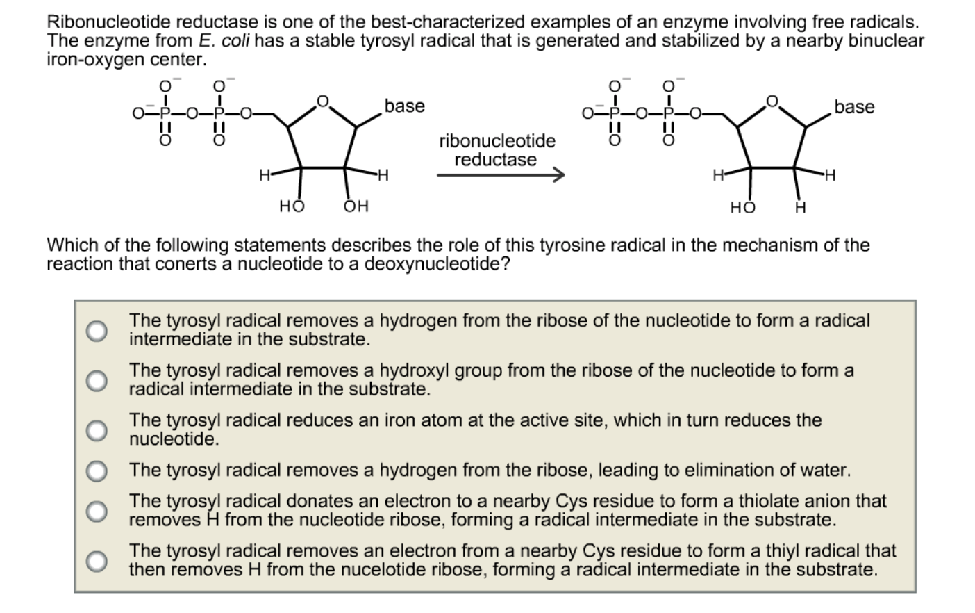 Ribonucleotide Reductase