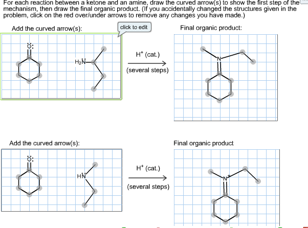 Complete the following? The protonated form of the | Chegg.com