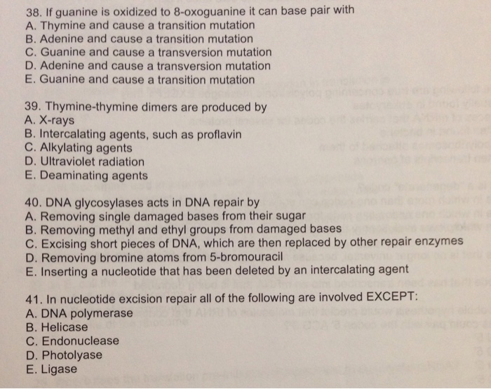 Solved If guanine is oxidized to 8-oxoguanine it can base | Chegg.com