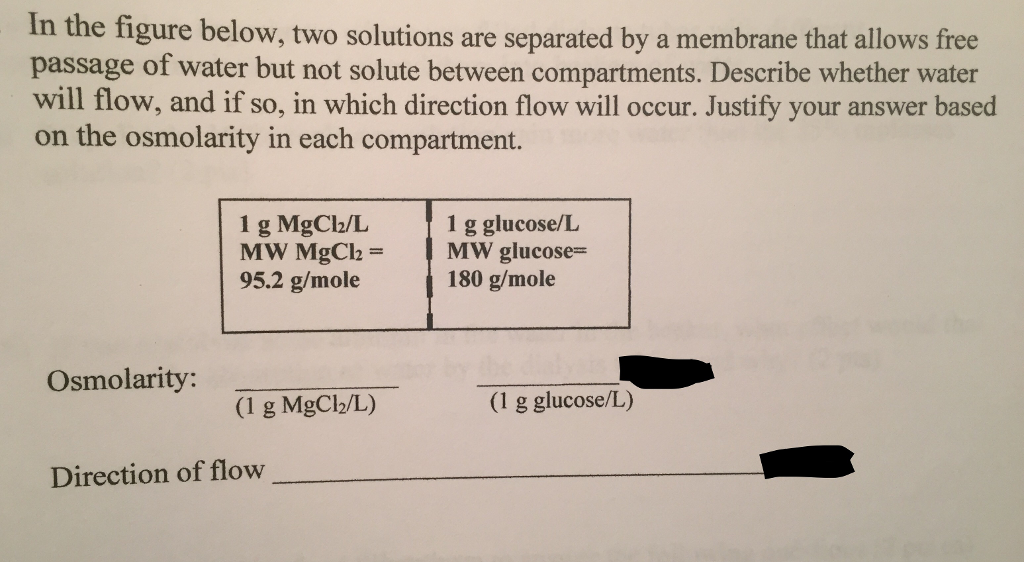 Solved In the figure below, two solutions are separated by a | Chegg.com