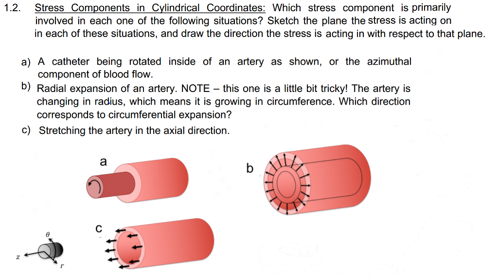 Solved Stress Components in Cylindrical Coordinates: Which | Chegg.com
