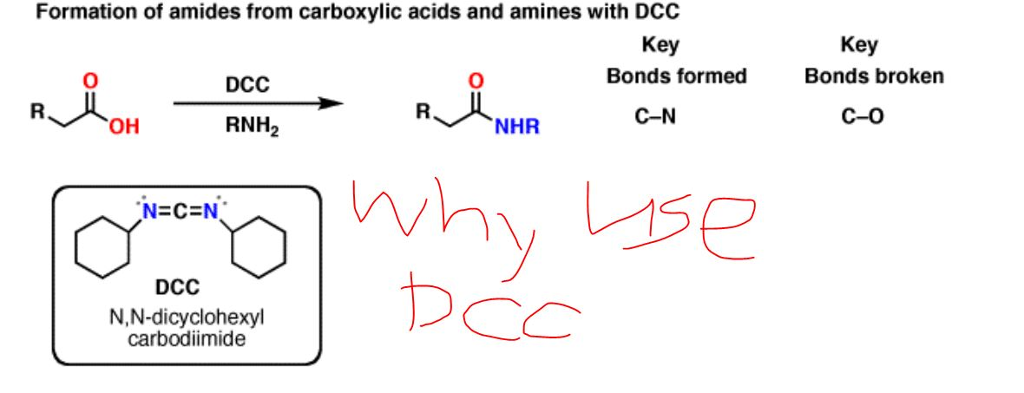 Solved Formation of amides from carboxylic acids and amines | Chegg.com
