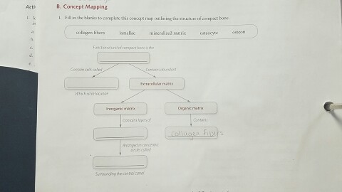 concept map | Chegg.com