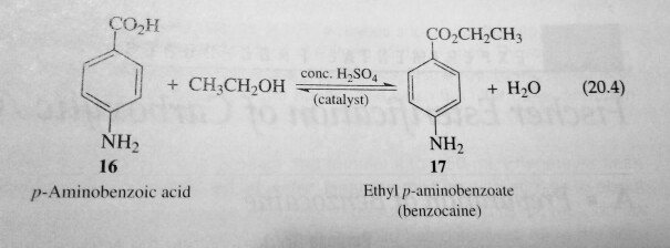 Solved CO H CO2CH CH3 conc. H2SO4 (catalyst) + CH3CH2OH + | Chegg.com