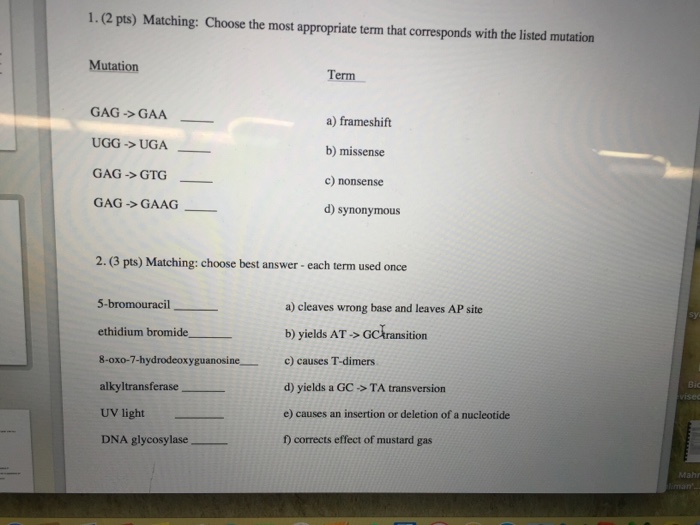 Solved 1. (2 pts) Matching: Choose the most appropriate term | Chegg.com