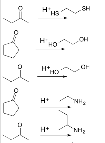 Solved INSTRUCTIONS: Draw in the product for ALL of the | Chegg.com