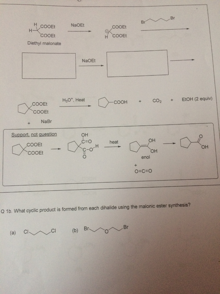 Solved Br H COOEt Br NaOEt COOEt COOEt Diethyl malonate | Chegg.com
