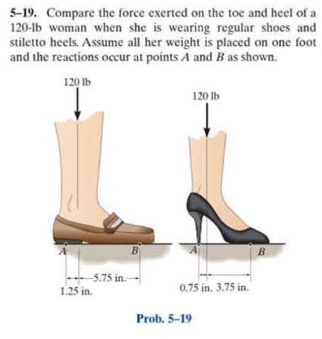 Solved Compare the force exerted on the toe and heel of a | Chegg.com