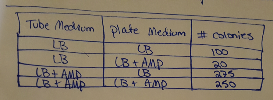 Solved Below questions pertain to the plates that were | Chegg.com