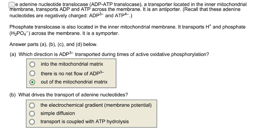 Solved e adenine nucleotide translocase (ADP-ATP | Chegg.com