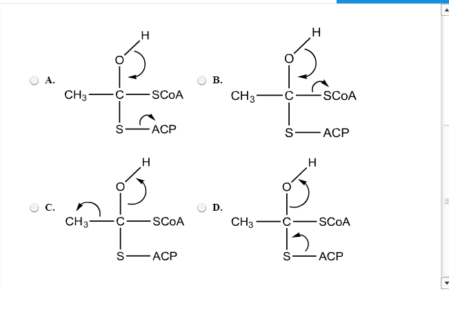 Solved Select the single best answer. Using HSCoA and HS-ACP | Chegg.com