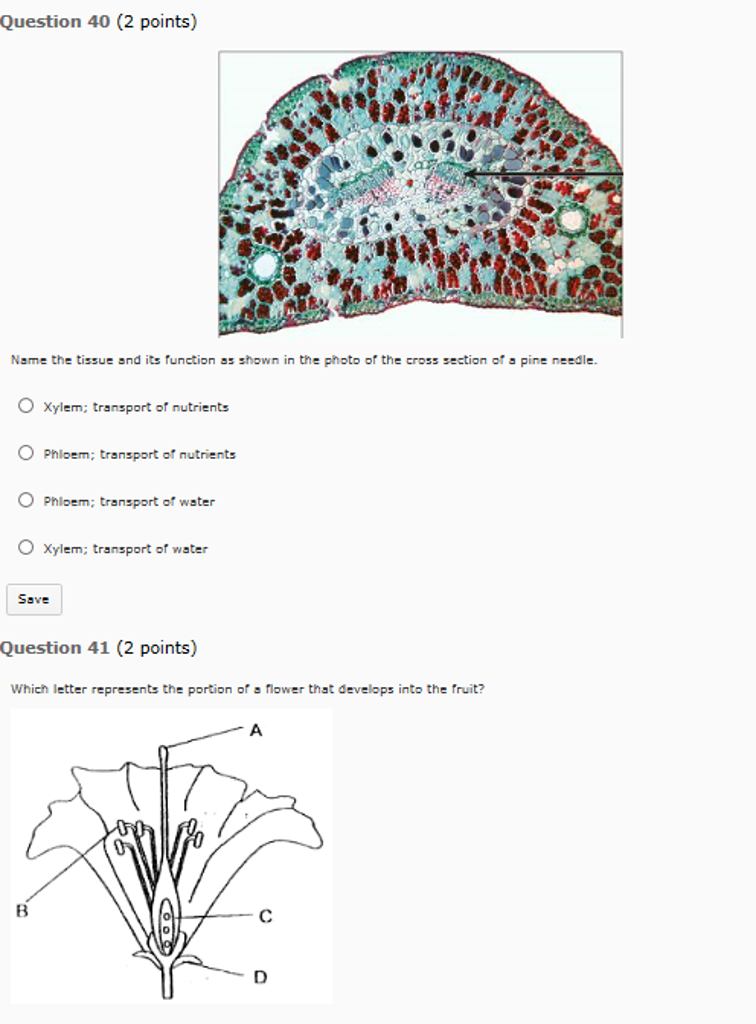 Solved Name the tissue and its function as shown in the | Chegg.com