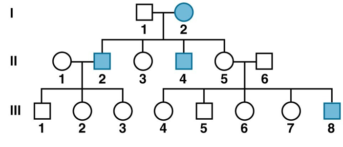 Solved The pedigree below shows the inheritance pattern of | Chegg.com