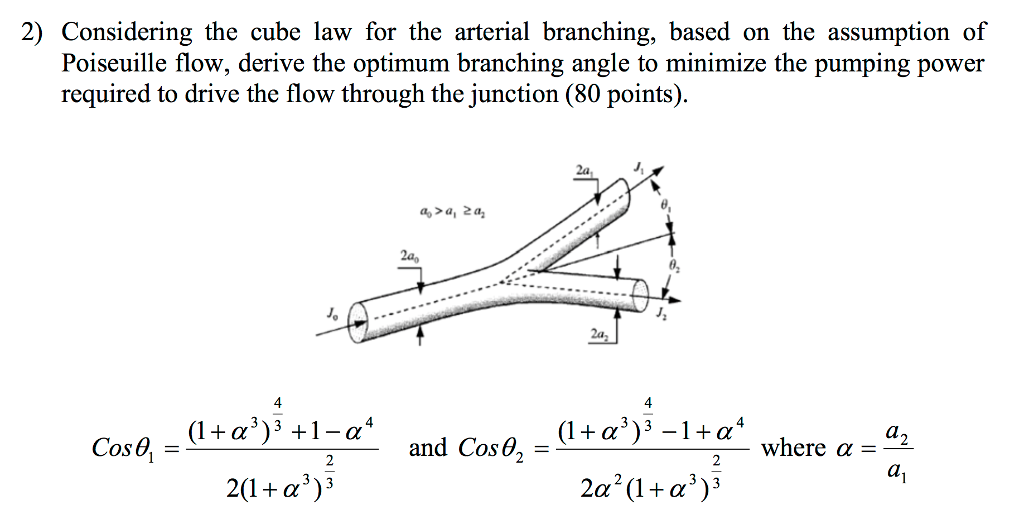 Considering the cube law for the arterial branching, | Chegg.com