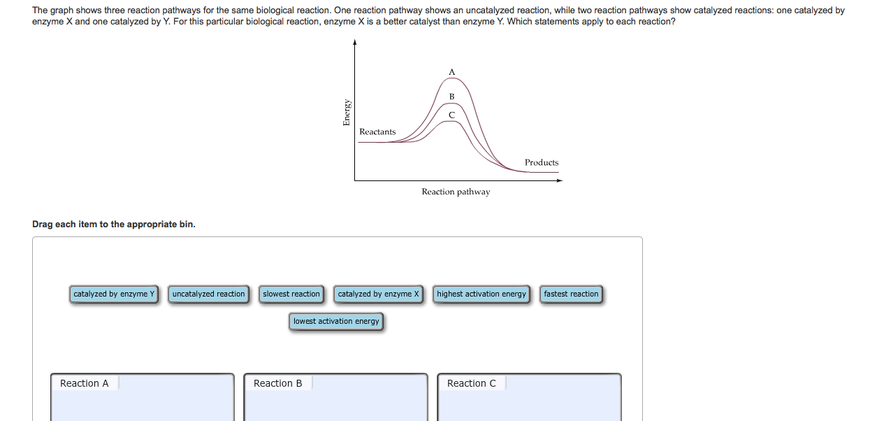 Solved The graph shows three reaction pathways for the same | Chegg.com Solved The graph shows three reaction pathways for the same | Chegg.com