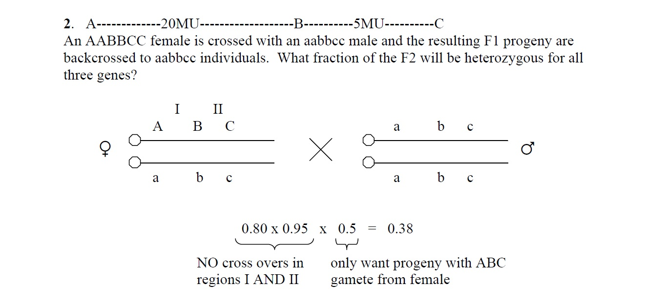 An AABBCC female is crossed with an aabbcc male and | Chegg.com