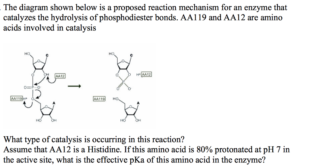 Solved The diagram shown below is a proposed reaction | Chegg.com