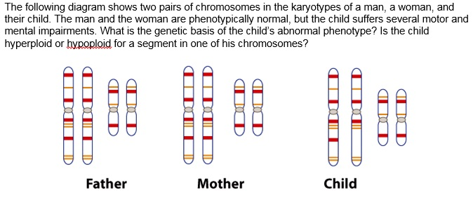 Solved The following diagram shows two pairs of chromosomes | Chegg.com