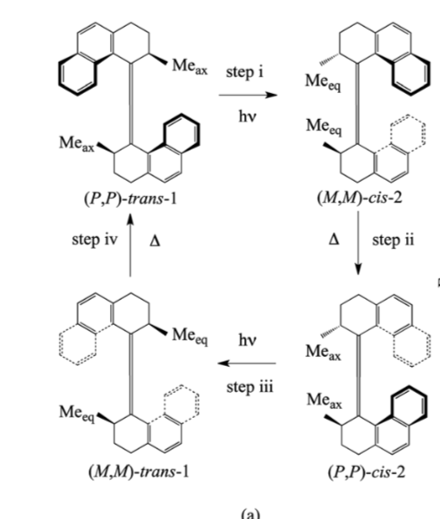 Solved Show the mechanism for the photoisomerization | Chegg.com