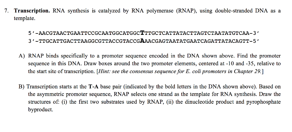 Solved RNA synthesis is catalyzed by RNA polymerase (RNAP), | Chegg.com