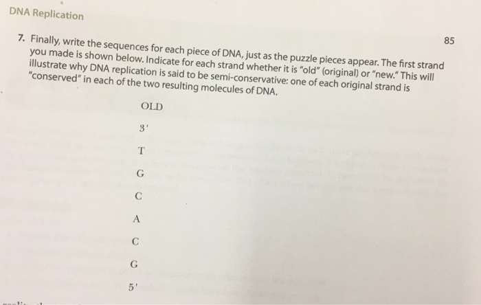 Solved Finally, write the sequences for each piece of DNA, | Chegg.com