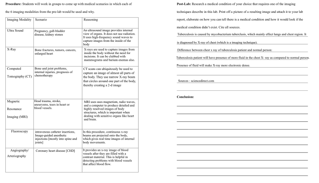 Solved Bio Imaging Lab Introduction: In this lab, students | Chegg.com