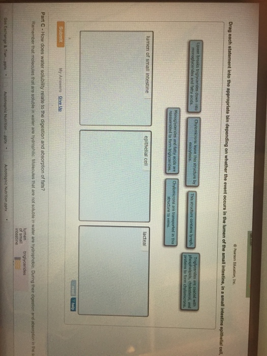 Drag each statement into the appropriate bin | Chegg.com
