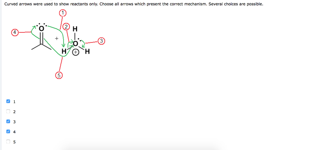 Solved Skill Building Exercise: Drawing the mechanism of a | Chegg.com