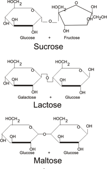 Solved Identify the following disaccharides as reducing or | Chegg.com
