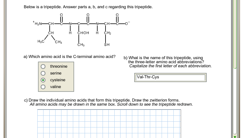 Solved Draw the individual amino acids that form this | Chegg.com