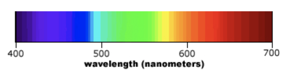 Solved Find the approximate temperatures of the Sun, Rigel | Chegg.com