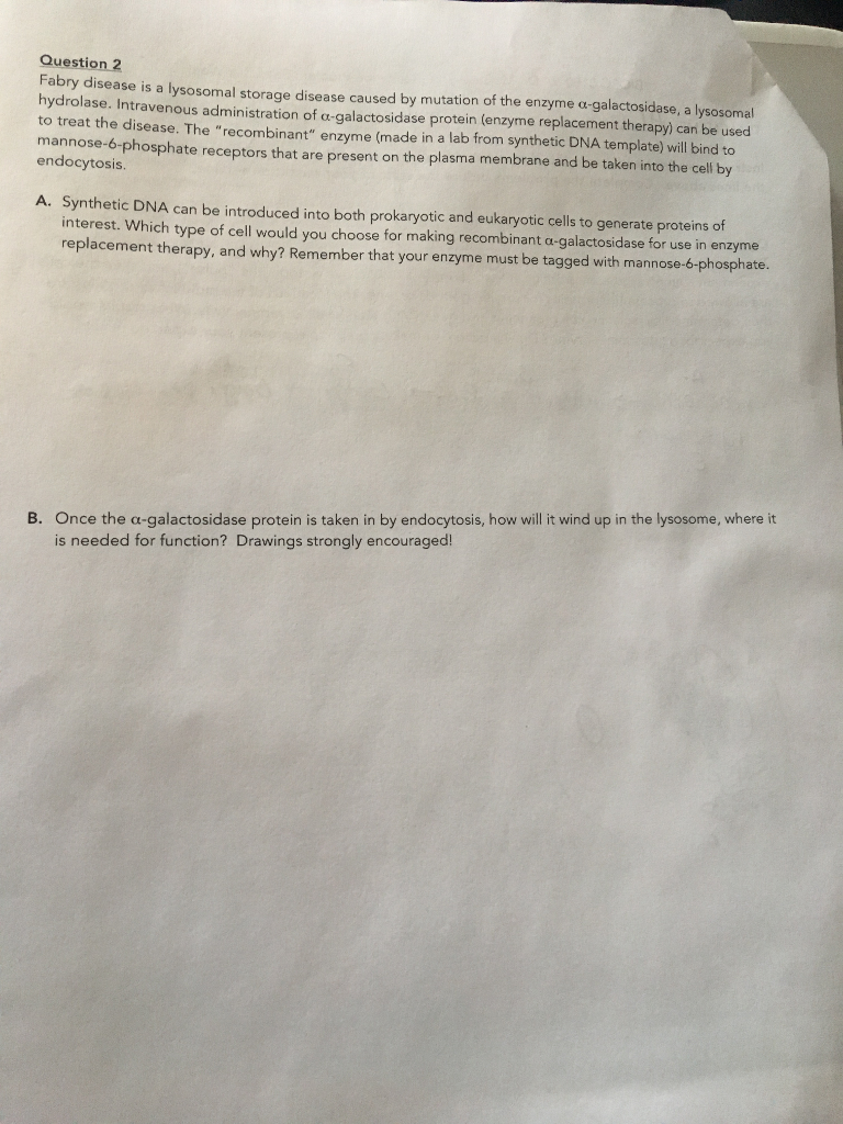 Solved Question 3 G-actin monomers reversibly polymerize to | Chegg.com
