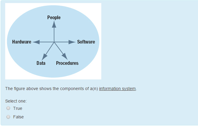 Solved 1. true or false? A Web programmer designs and | Chegg.com
