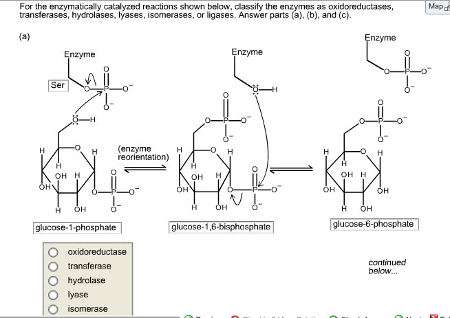 Solved For the enzymatically catalyzed reactions shown | Chegg.com