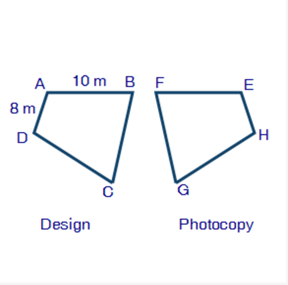 Solved Tony used a photocopier to dilate the design for a | Chegg.com