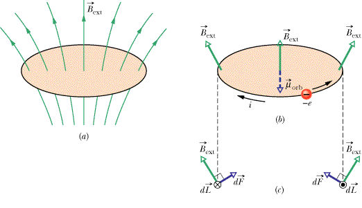 Solved Figure a shows a loop model for an electron orbiting | Chegg.com