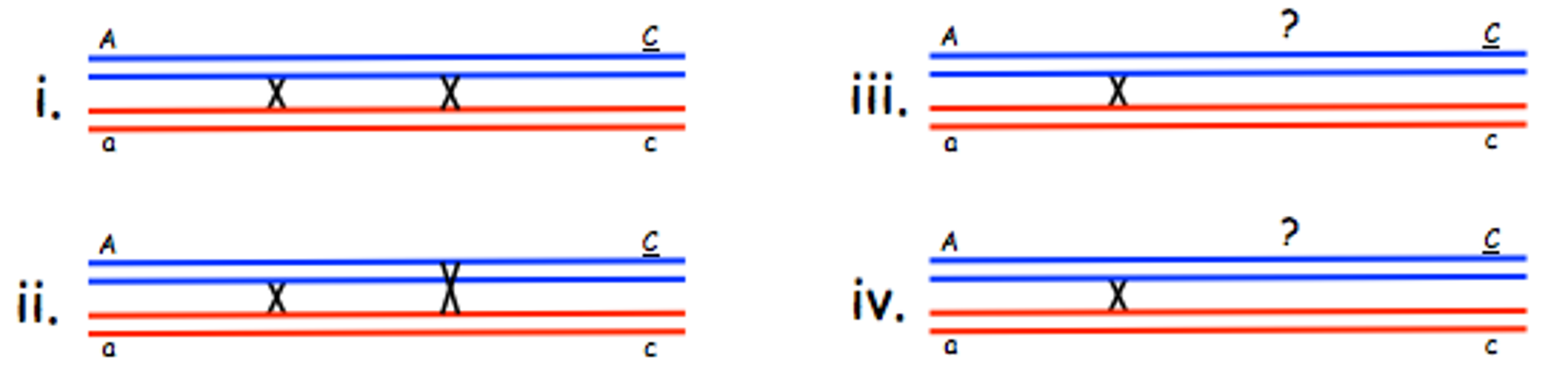 Solved The maximum possible recombination frequency that can | Chegg.com