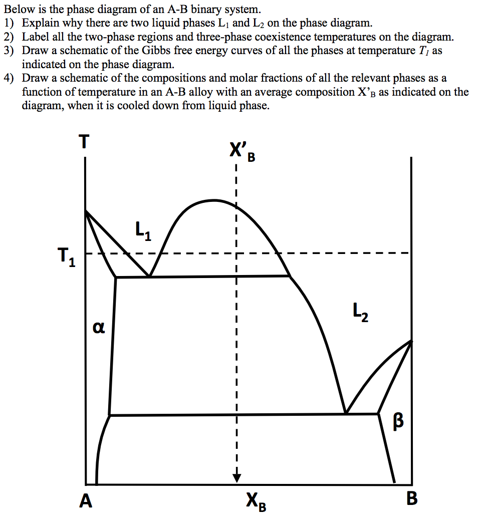 Solved Below is the phase diagram of an A-B binary system 1) | Chegg.com