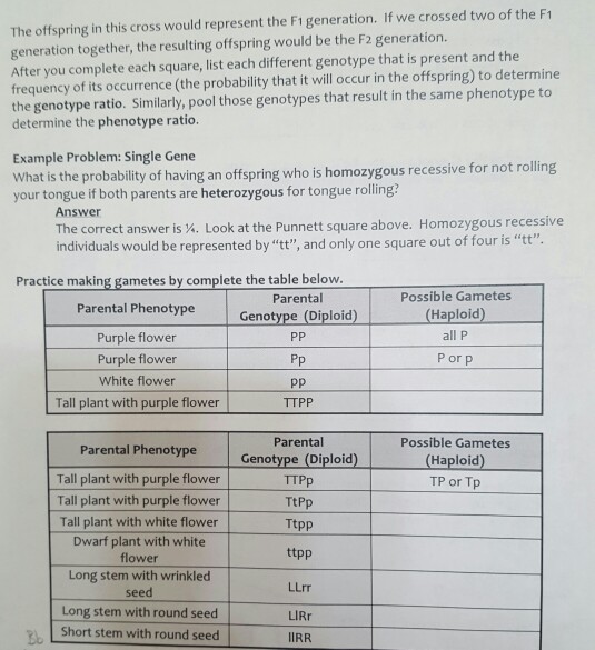 Solved The offspring in this cross would represent the F1 | Chegg.com