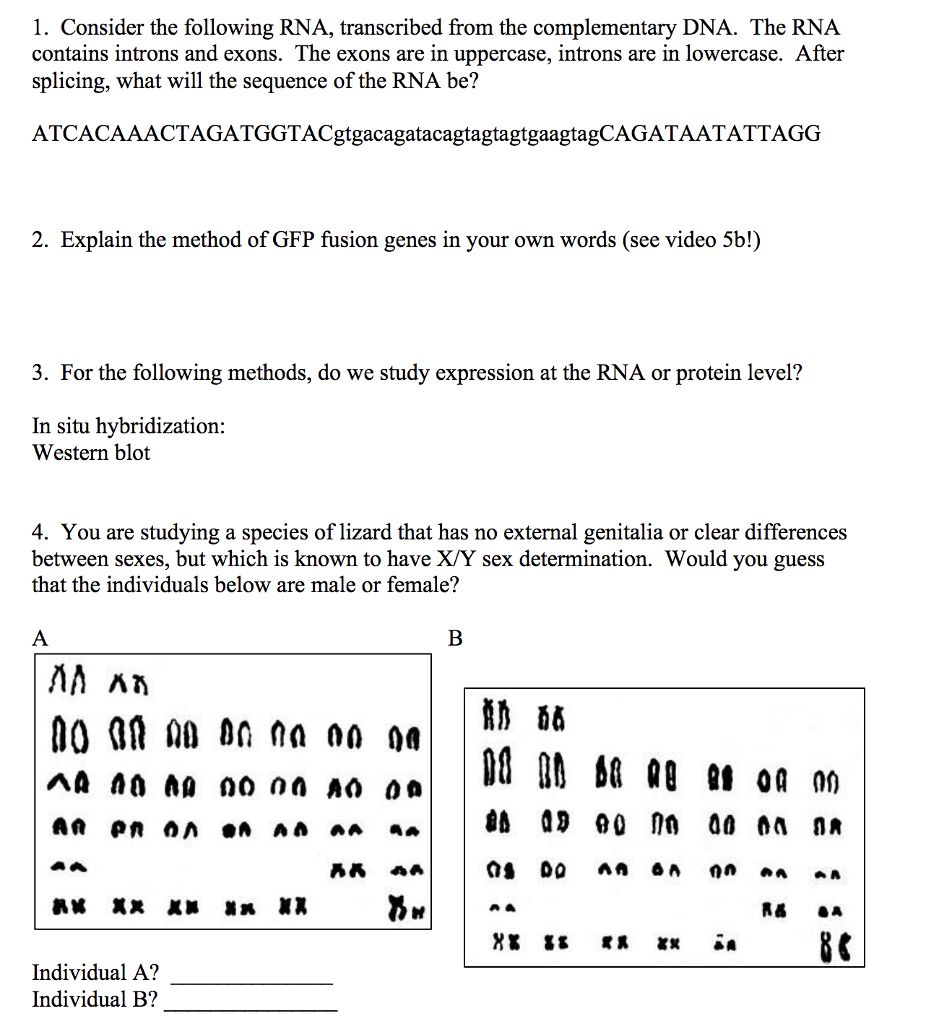 Biology Archive | February 09, 2018 | Chegg.com