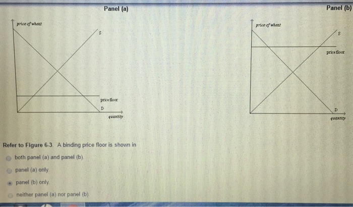 Solved A binding price floor is shown in both panel (a) and | Chegg.com